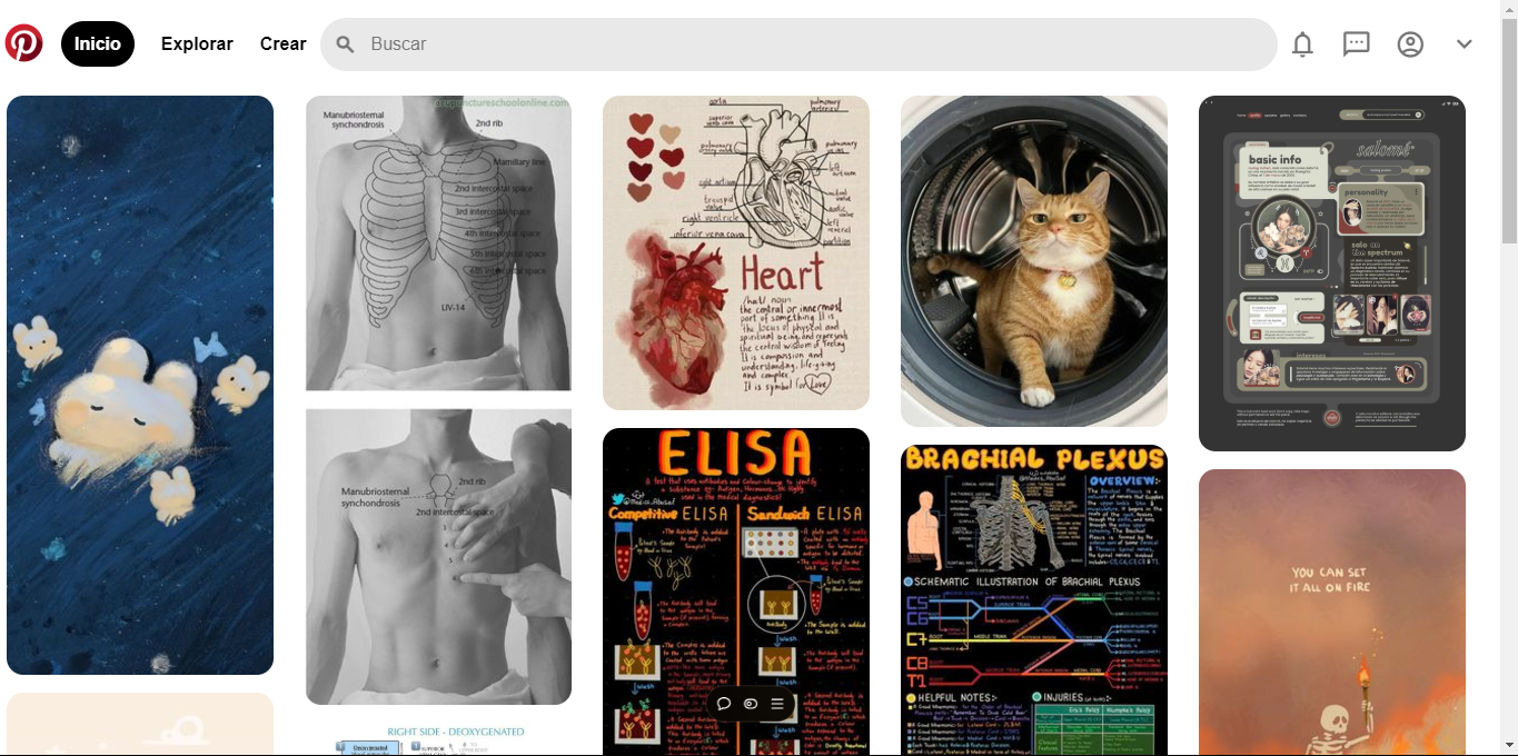 Rebeca Delgado González